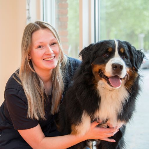 Dierenarts Eindhoven | DierenDokters Kalmoesplein